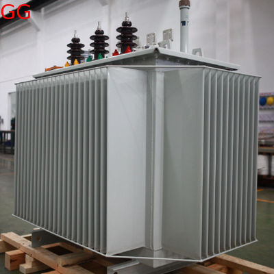 Oil Immersed Distribution Transformer manufacturer from China